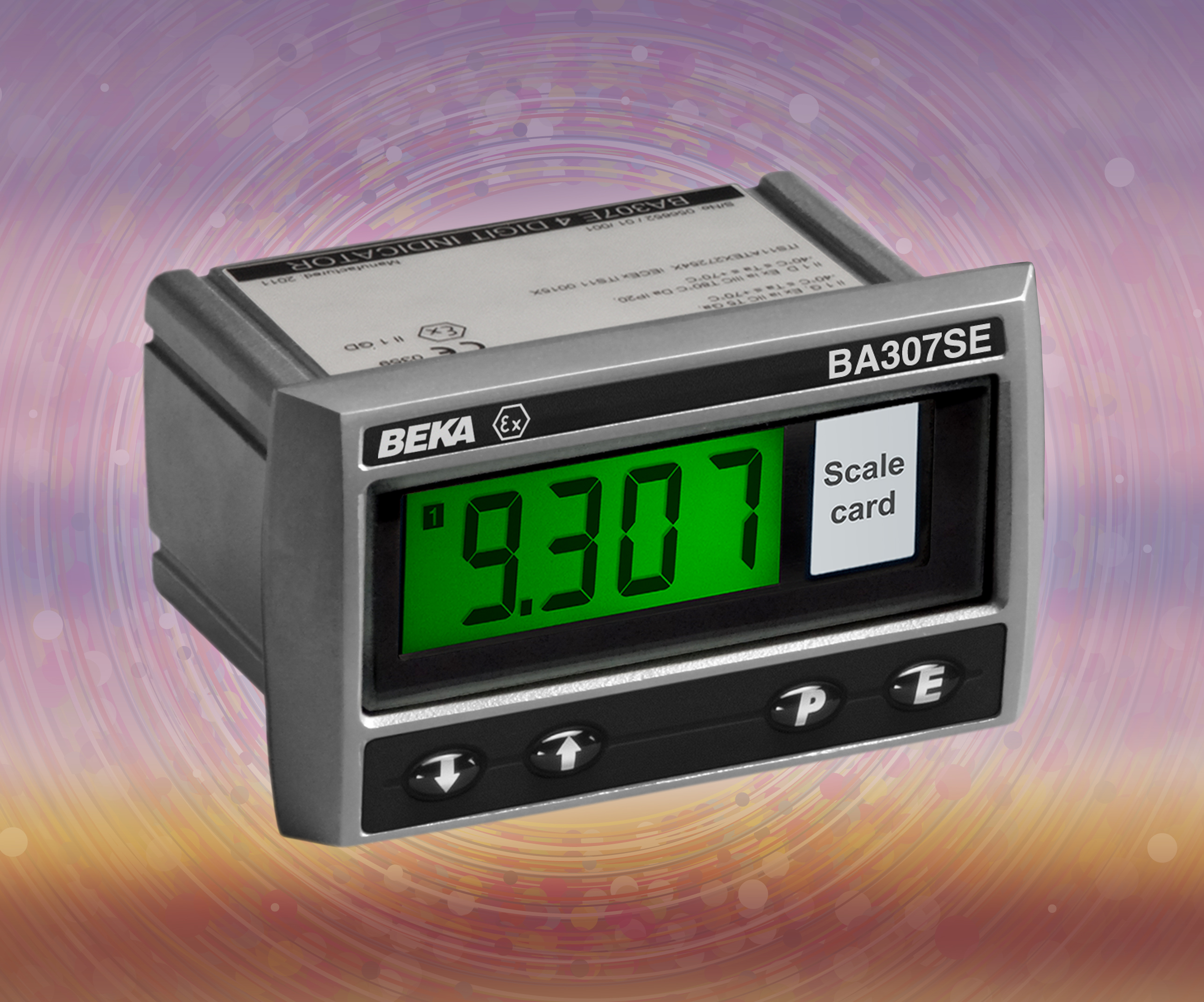 Zone 2/22 Rugged Panel Meter